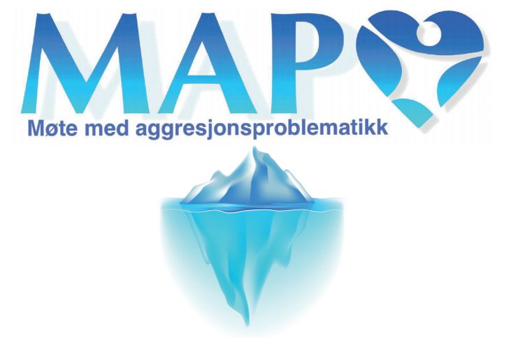 MAP kurs 4: Kursets forside
